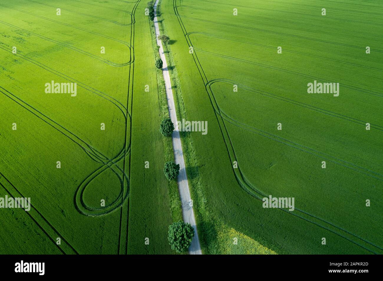 Aerial view of dirt road through landscape with meadow hi-res stock ...