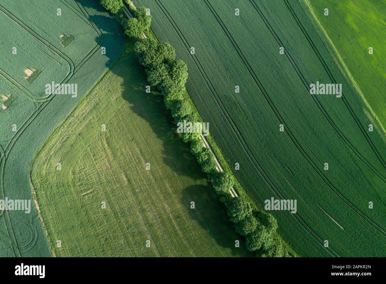 Aerial view of dirt road through landscape with meadow hi-res stock ...