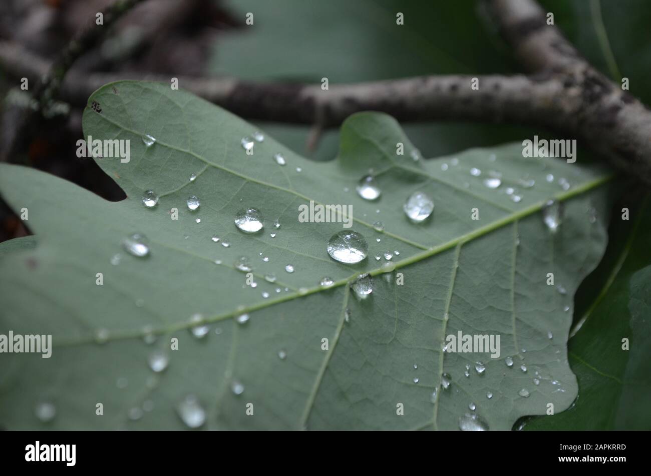 Droplet trail hi-res stock photography and images - Alamy