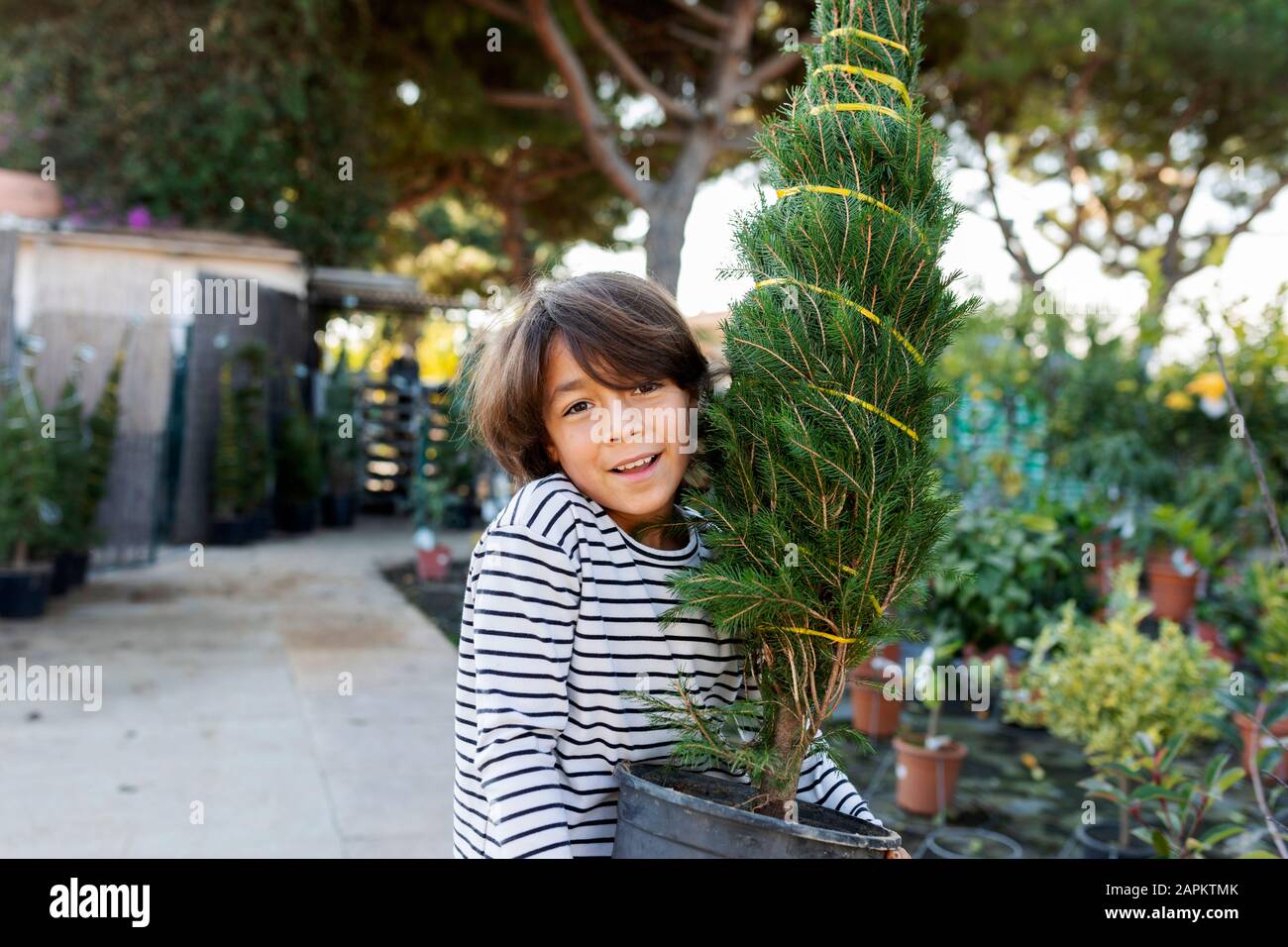 Portrait of boy carrying potted plant at plant nursery Stock Photo - Alamy