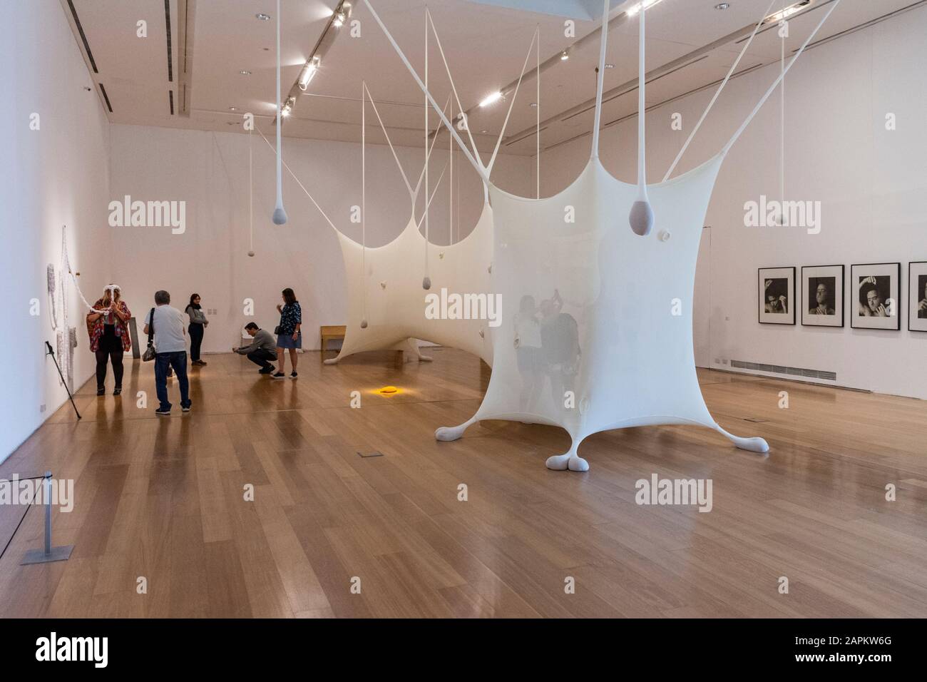 Malba museum of modern art hi-res stock photography and images - Alamy