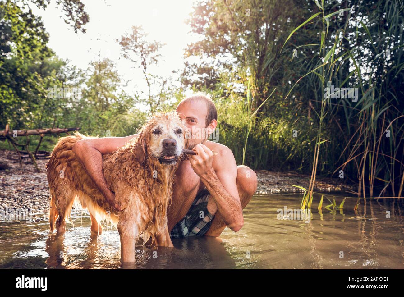 Cowering dog hi-res stock photography and images - Alamy