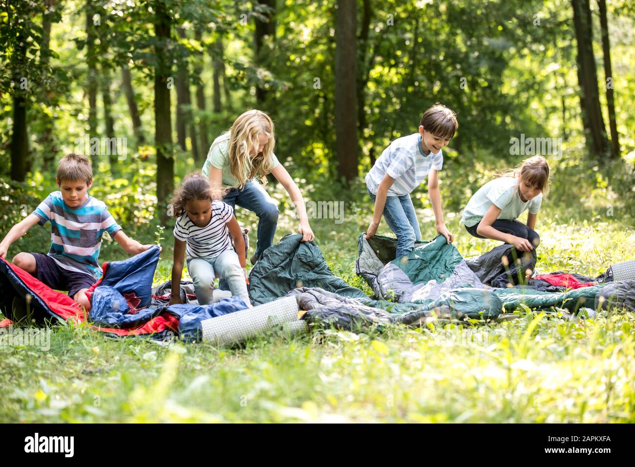 School children unpacking their sleeping bags to camp in the forest ...