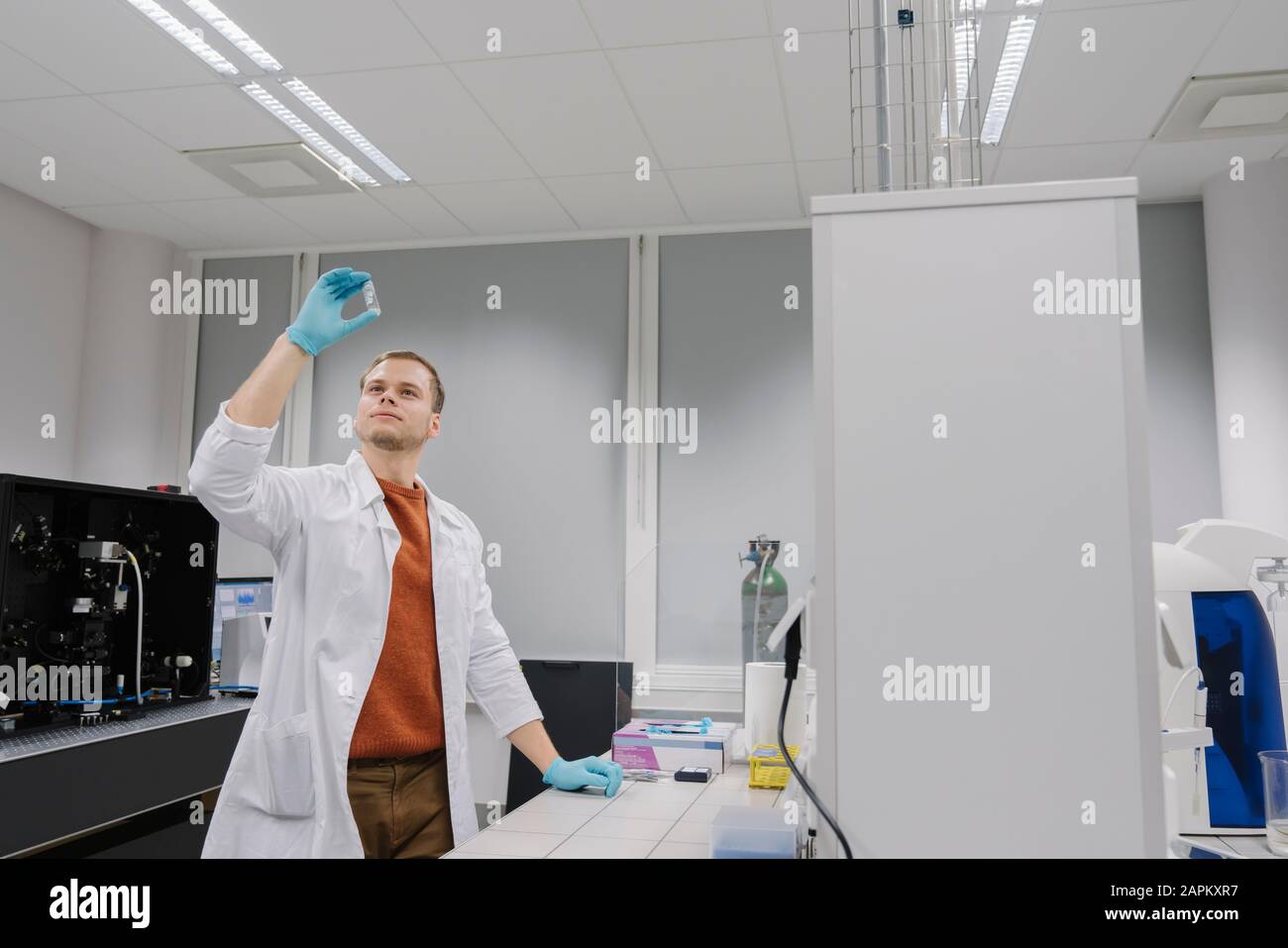 Scientist analyzing a specimen in laboratory Stock Photo - Alamy