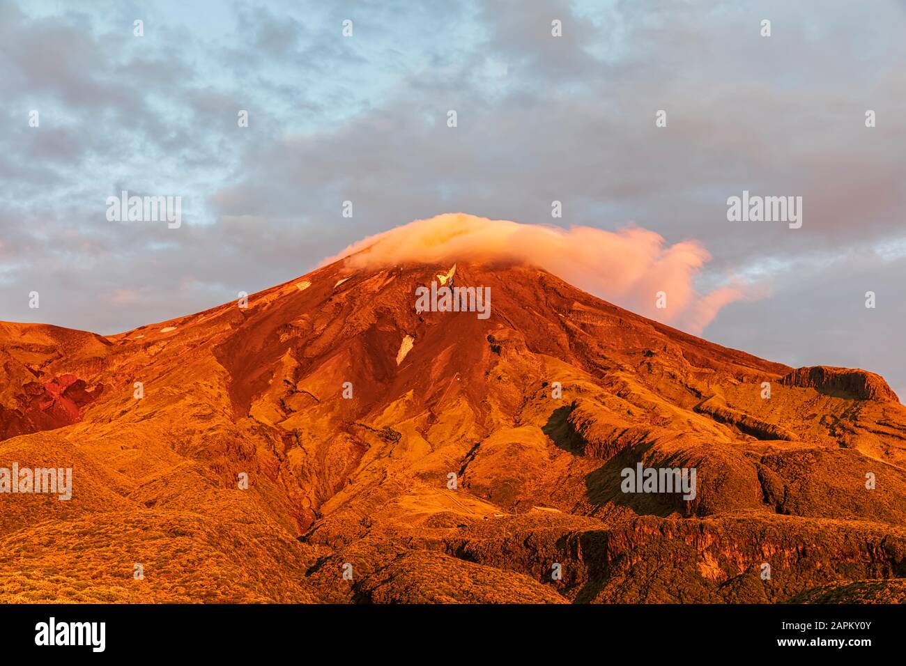 New Zealand, Mount Taranaki volcano at dawn Stock Photo - Alamy