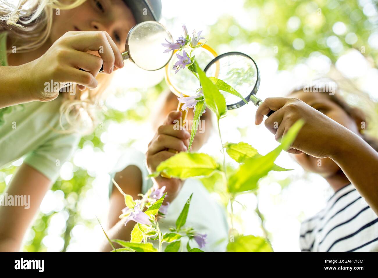 Magnifying glass hand black child hi-res stock photography and images ...