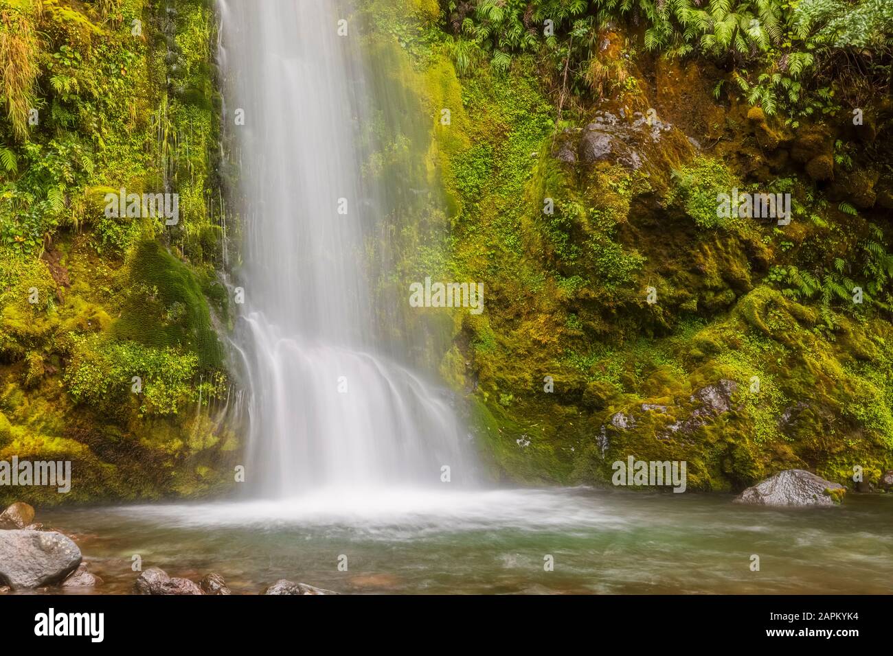 Long exposure dawson falls waterfall egmont national park hi-res stock ...