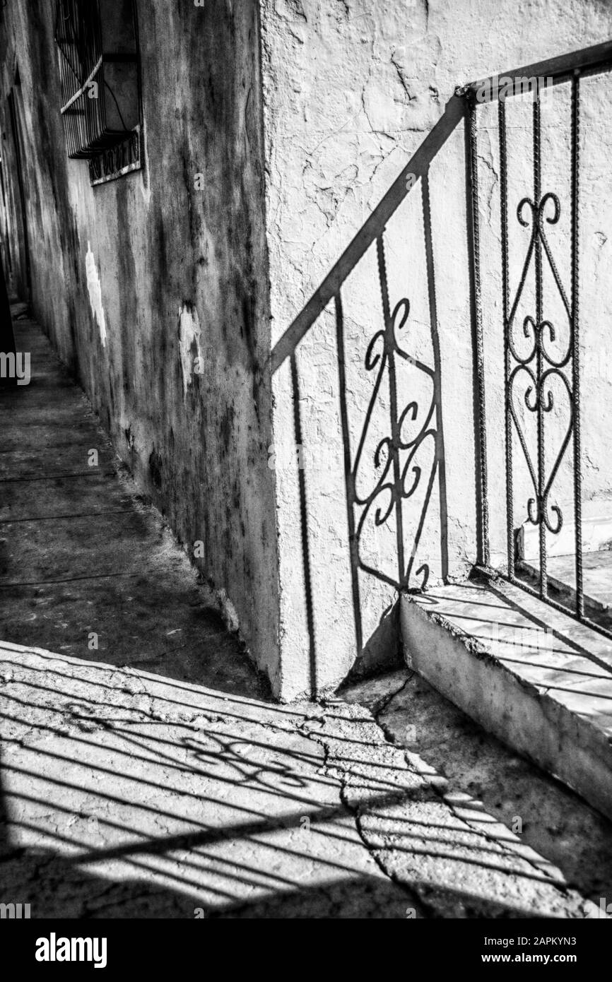 Stark pattern hi-res stock photography and images - Alamy