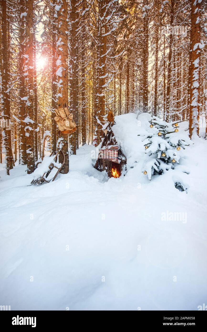 Austria, Salzburg, Altenmarkt-Zauchensee, Small wooden hut and campfire ...