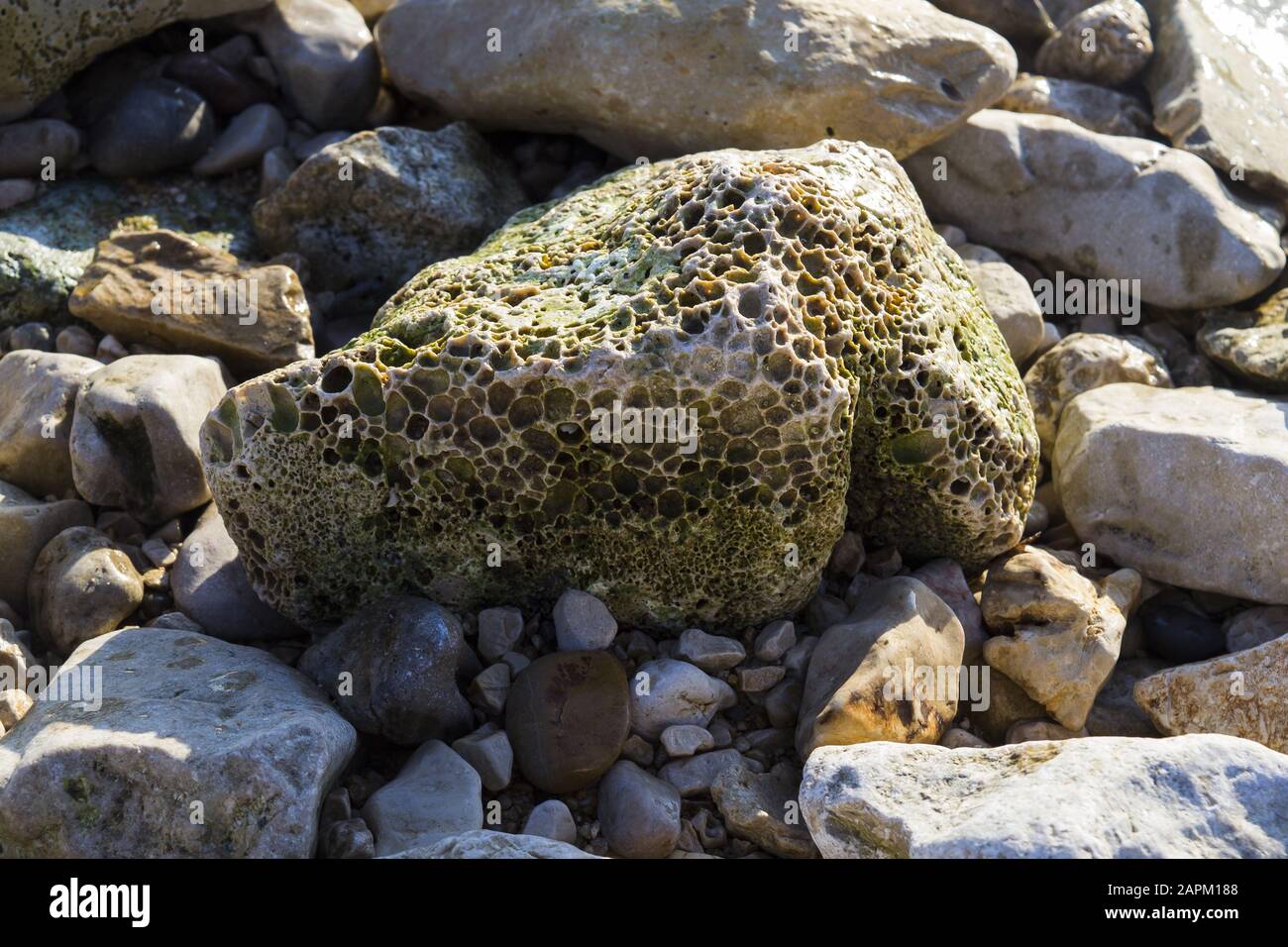 Pocked hi-res stock photography and images - Alamy