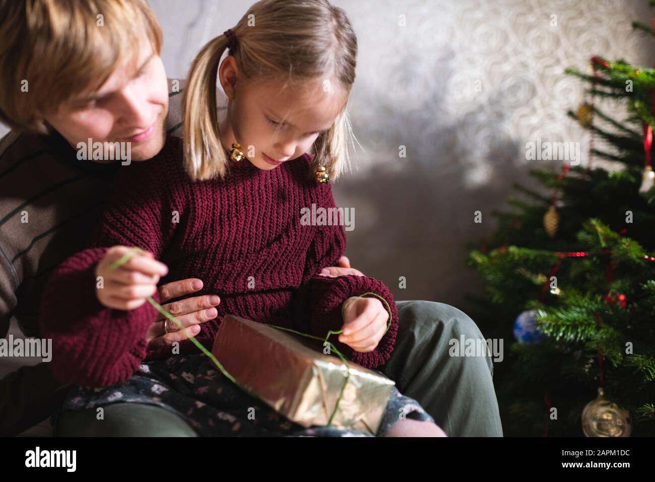 Blonde girl sitting on father's lap and opening Christmas present Stock ...