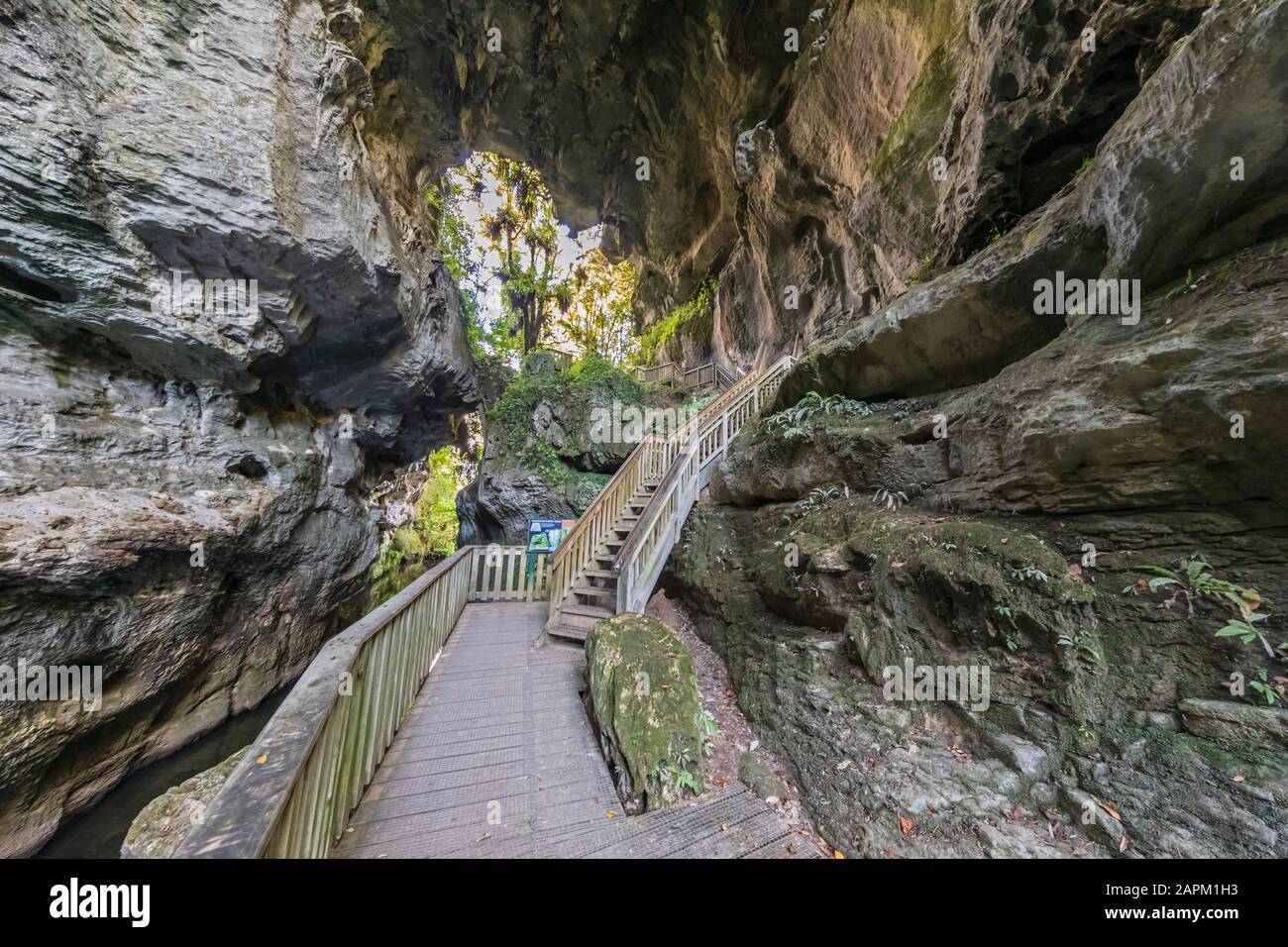 New Zealand, Oceania, North Island, Waitomo, Mangapohue Natural Bridge ...
