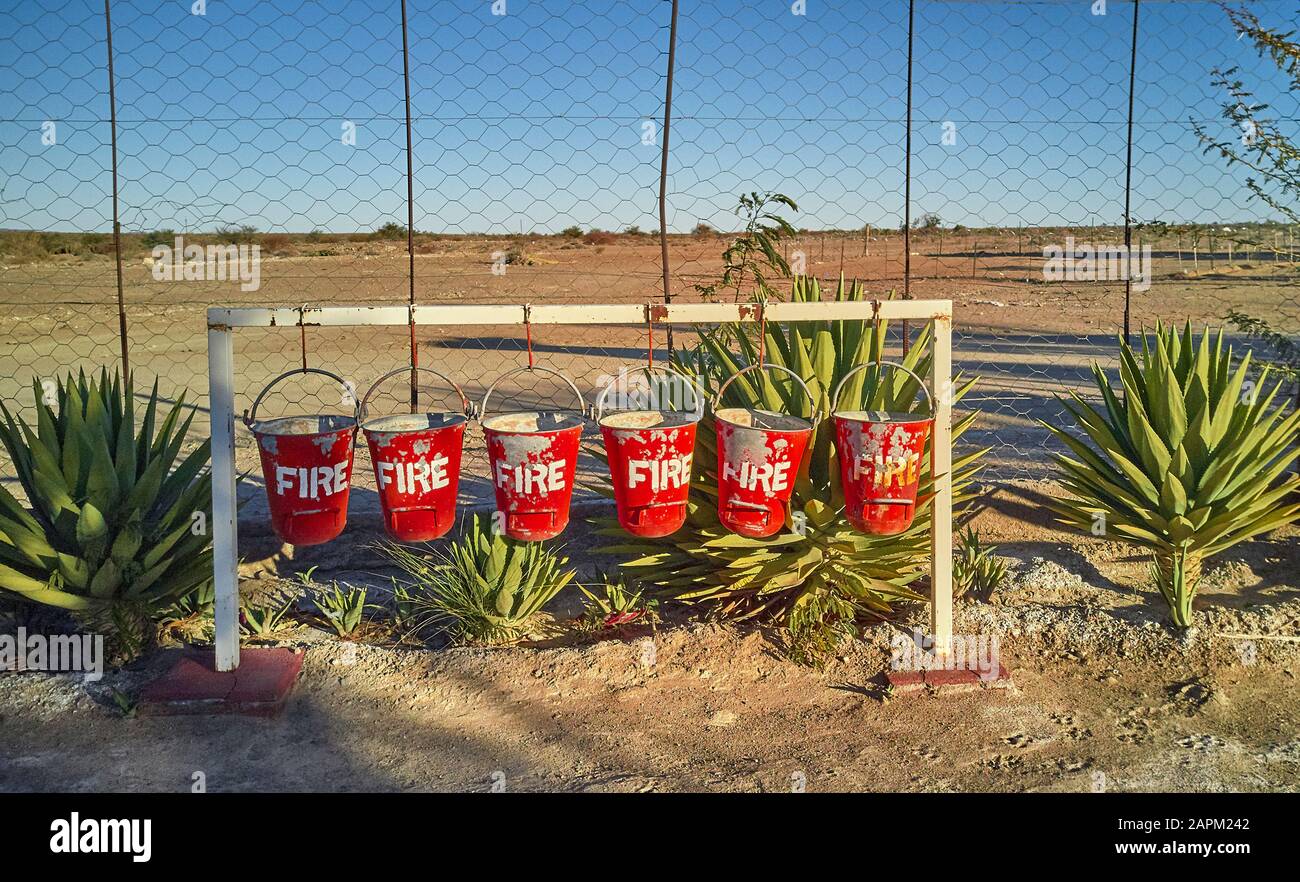 Plants at buckets for fire extinction, Orange river area, Namibia Stock ...