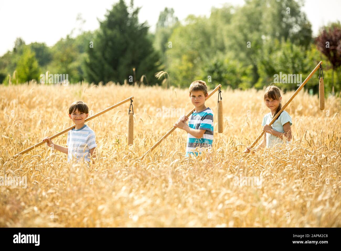 Thrashing wheat hi-res stock photography and images - Alamy