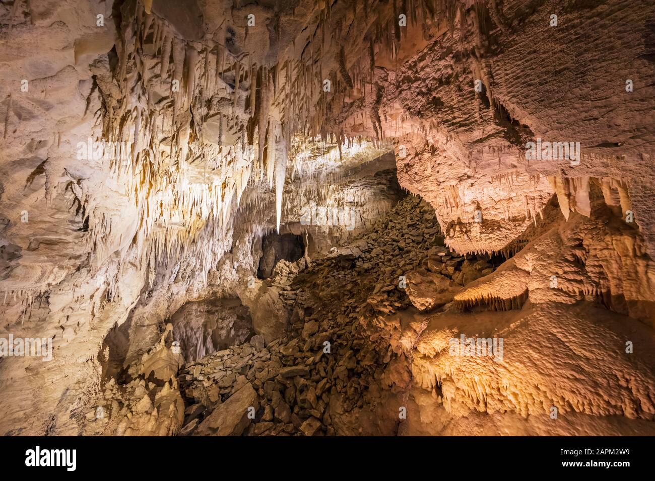 New Zealand, Oceania, North Island, Waitomo Caves, Ruakuri Cave ...