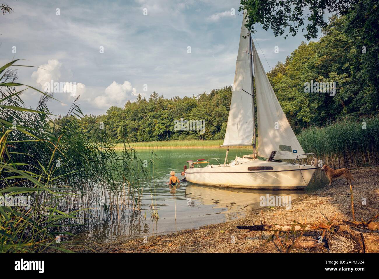 Sailing boat at lakeside, dog and two people swimming Stock Photo - Alamy