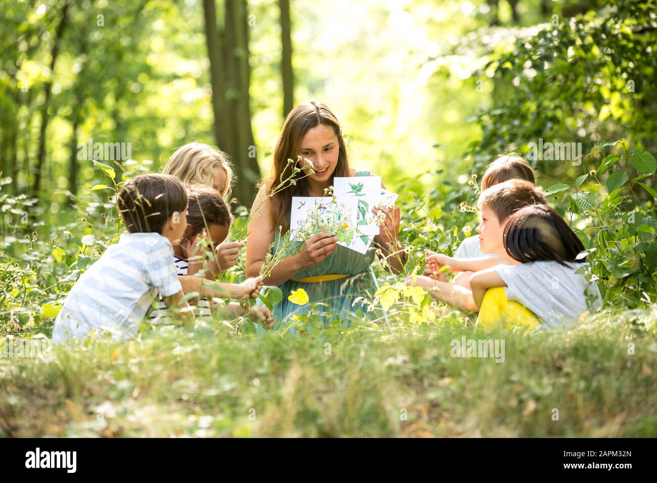 Children learning plants in school hi-res stock photography and images ...