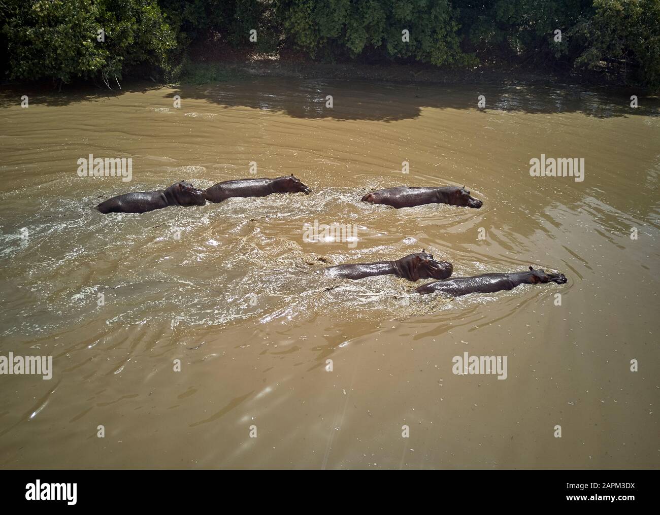 Oti river hi-res stock photography and images - Alamy