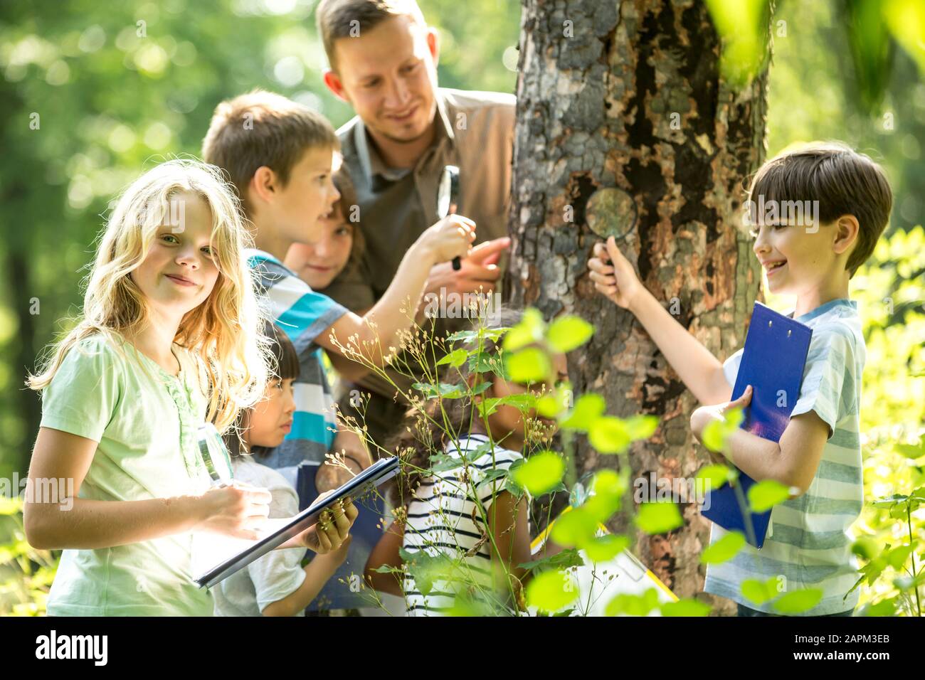 School children examining tree bark in forest with their teacher Stock ...