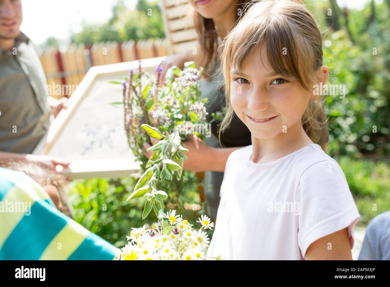 School children learning about herbs in nature studies Stock Photo - Alamy