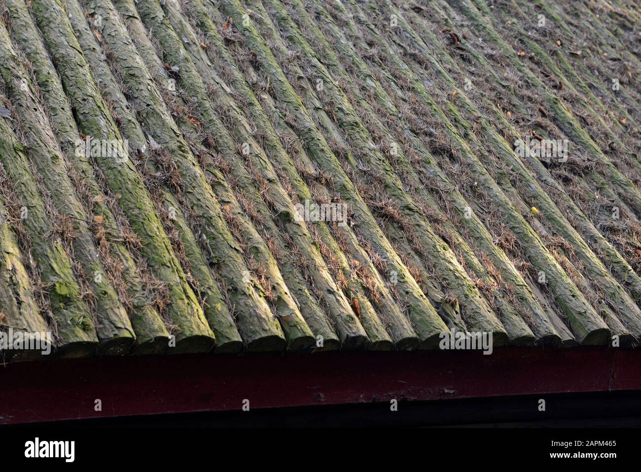 Signal hill park hi-res stock photography and images - Alamy