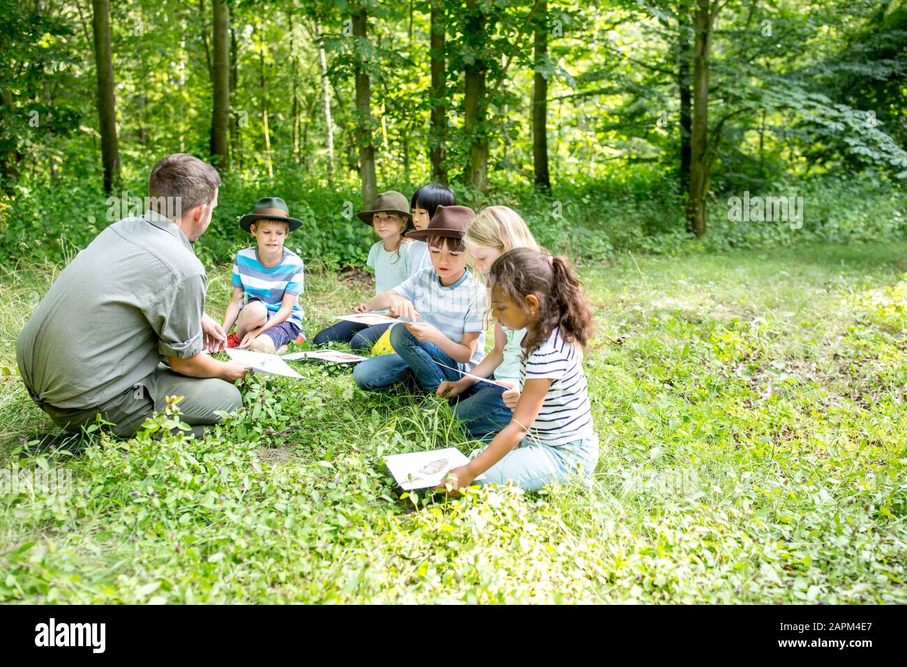 School children learning to distinguish animal species in forest Stock ...