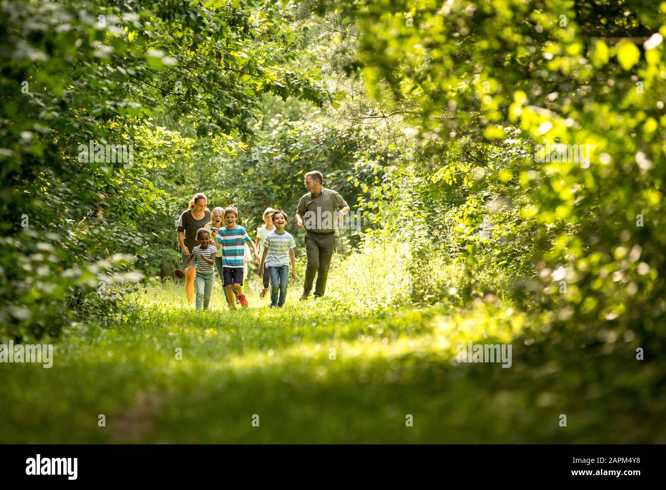 School children walking in forest with their teacher Stock Photo - Alamy
