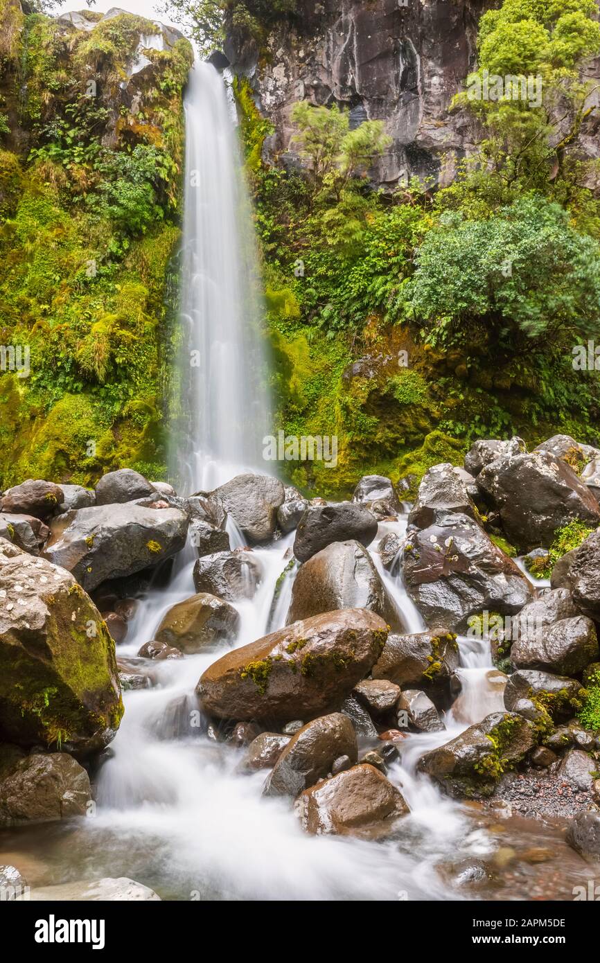 New Zealand Dawson Falls Waterfall Splashing Down Rocks Stock Photo