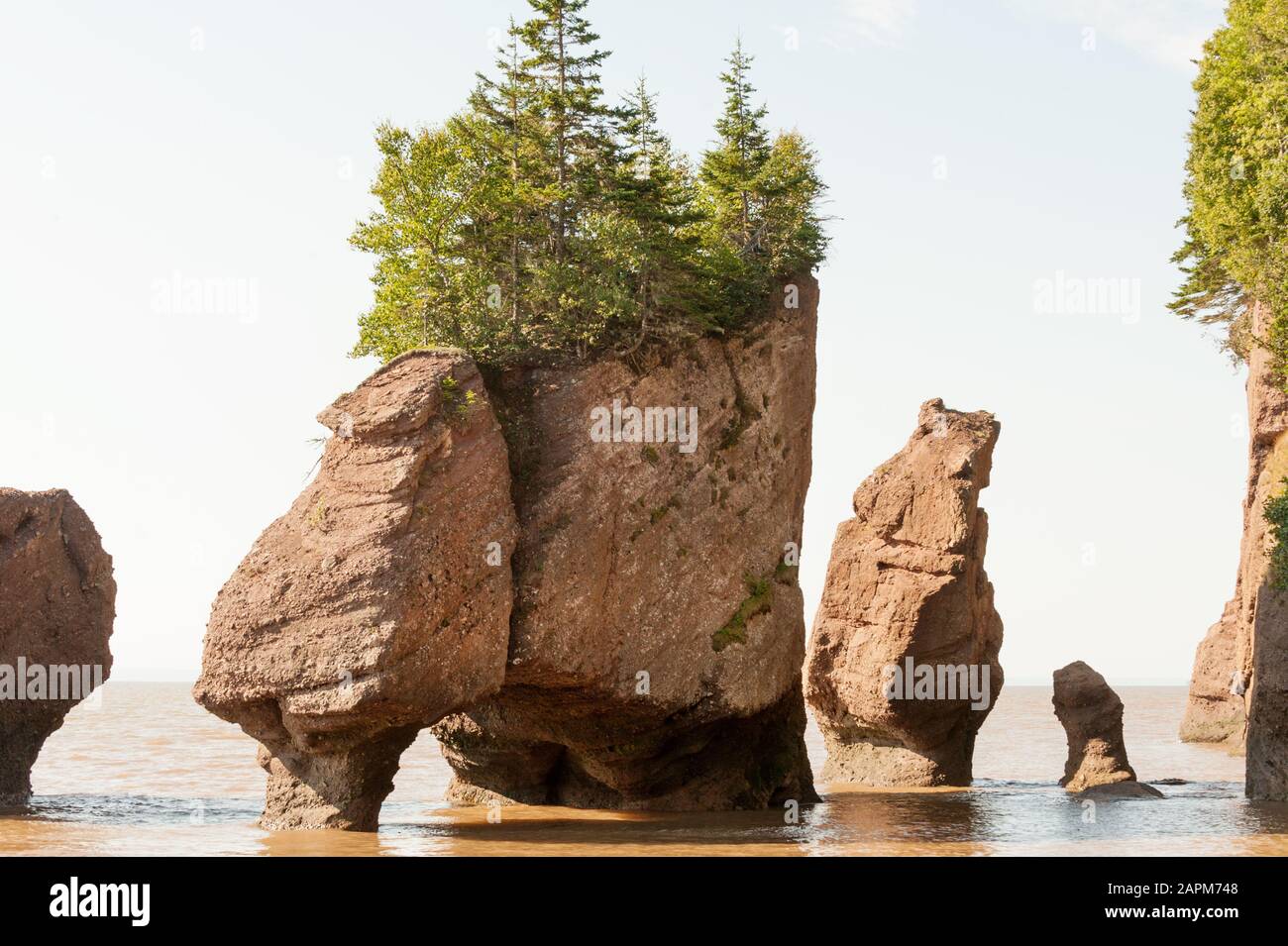 Famous Hopewell rocks of Bay of Fundy at high tide, New Brunswick ...
