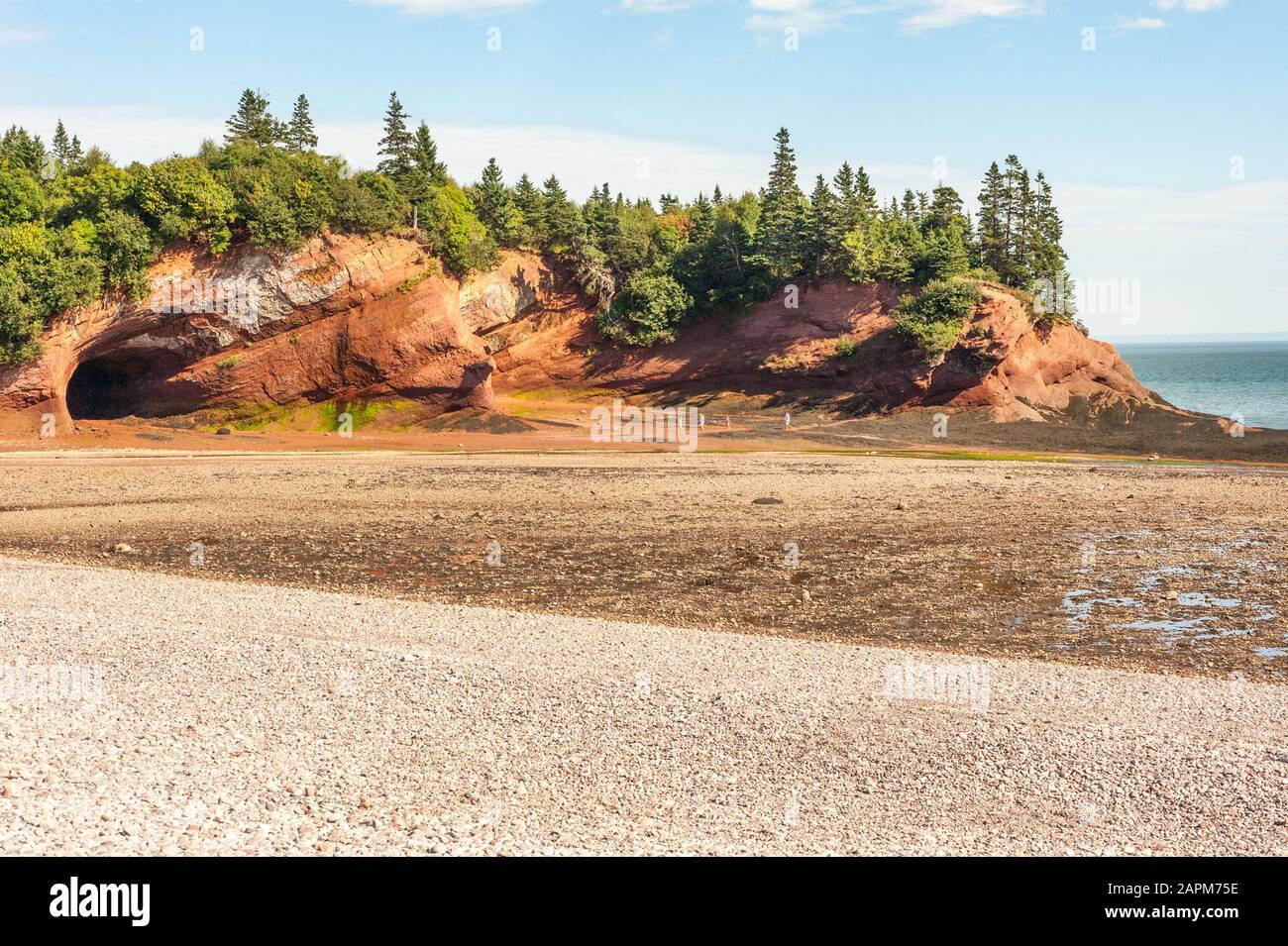 Famous sandstone St Martins sea caves at low tide, Bay of Fundy shore ...