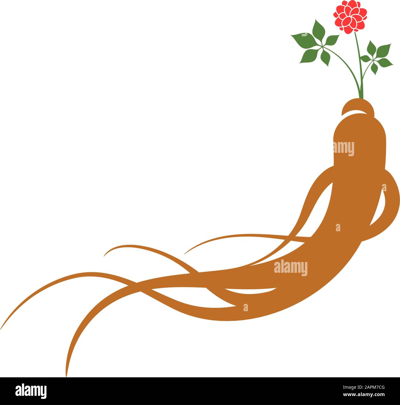 Ginseng vector icon illustration design template Stock Vector Image ...