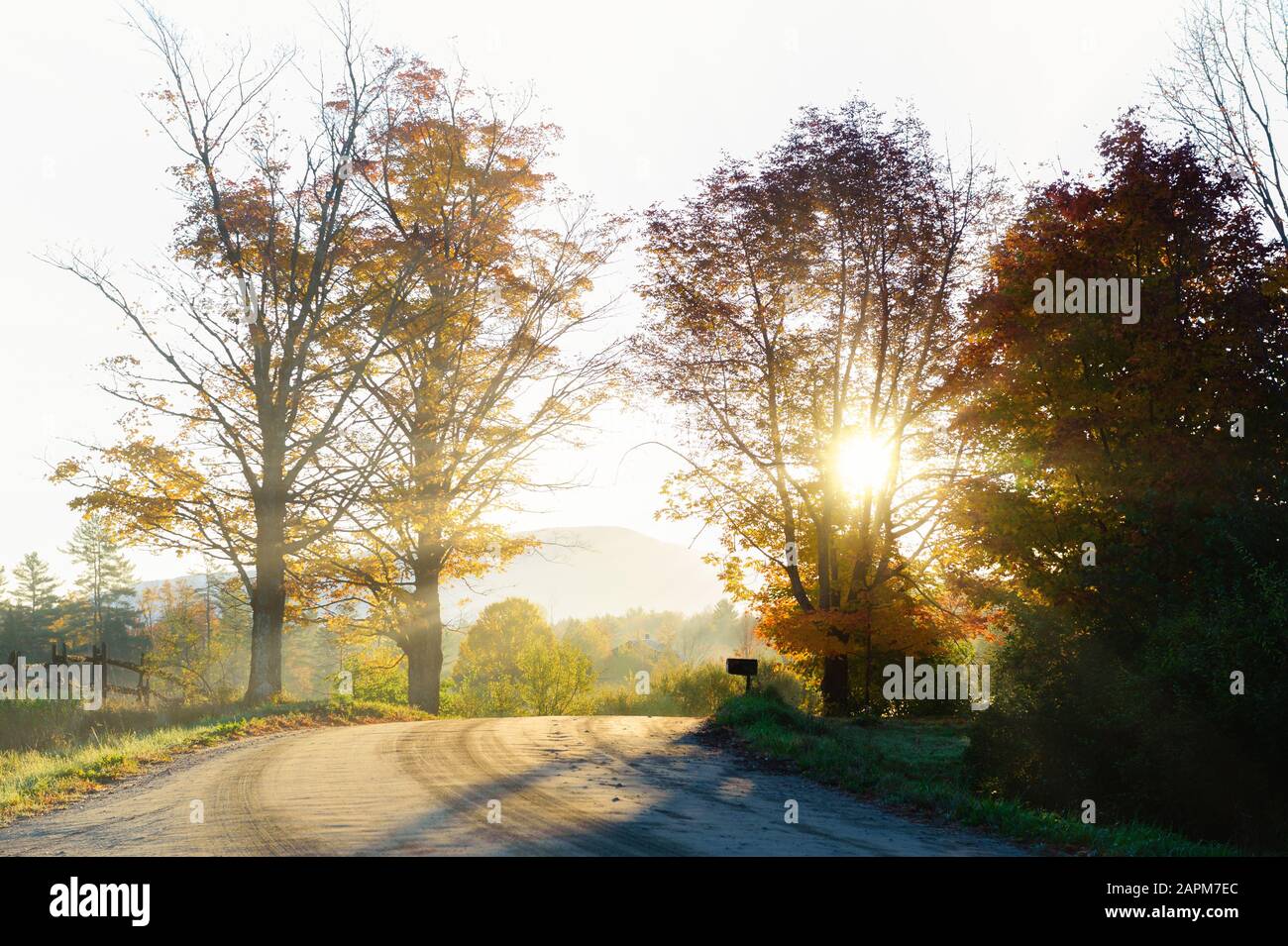 Sun shining through trees over a gravel road on a sunny fall foliage ...