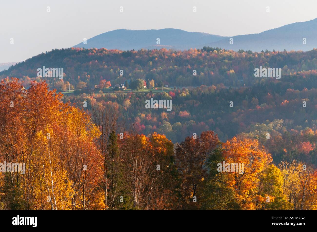 Morning sunrise during fall foliage season, Stowe, Vermont, USA Stock ...