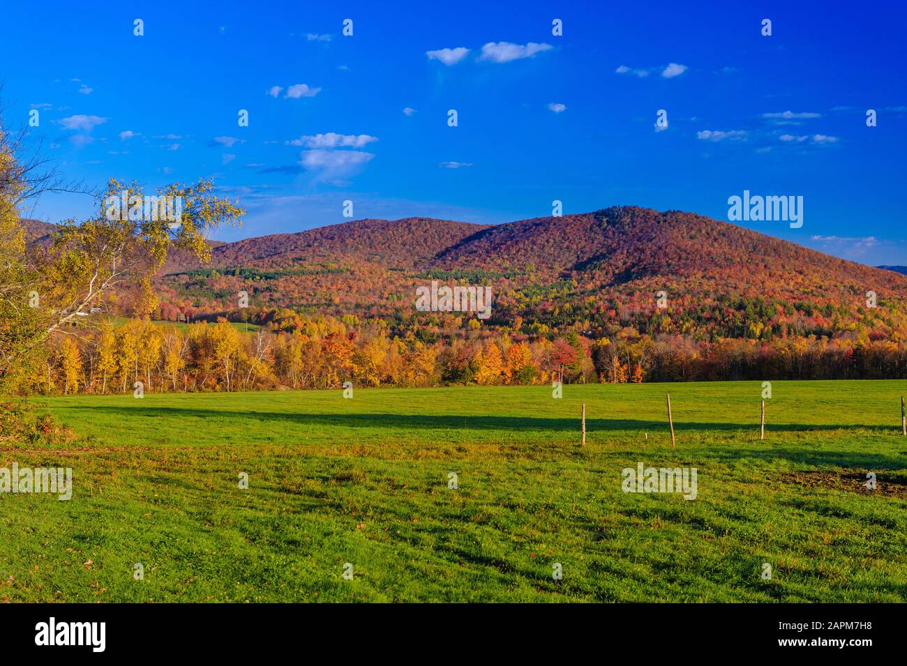 Morning sunrise on a colorful mountain during fall foliage season ...