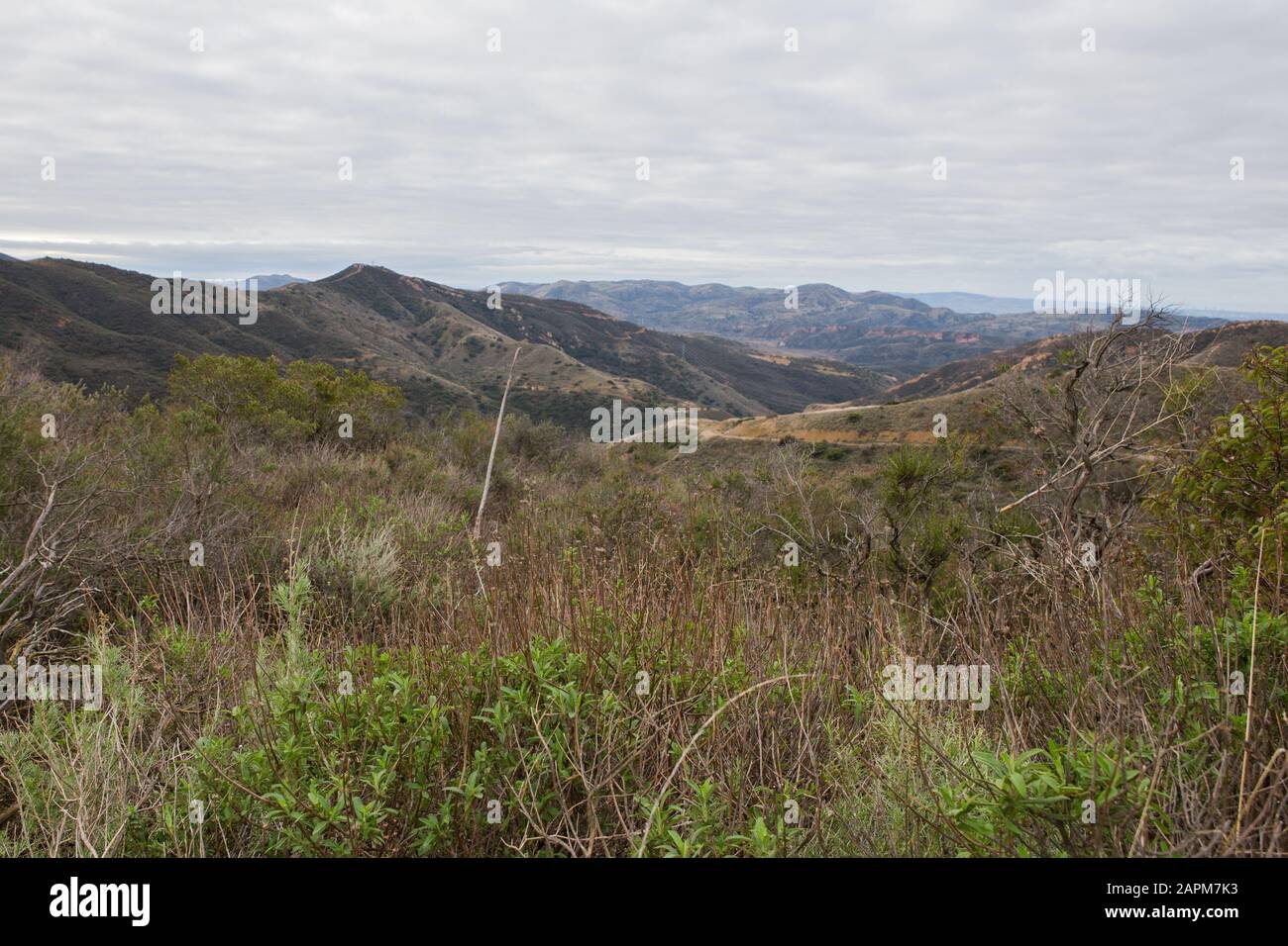 Black star canyon trail in the Santa Ana Mountains part of the ...