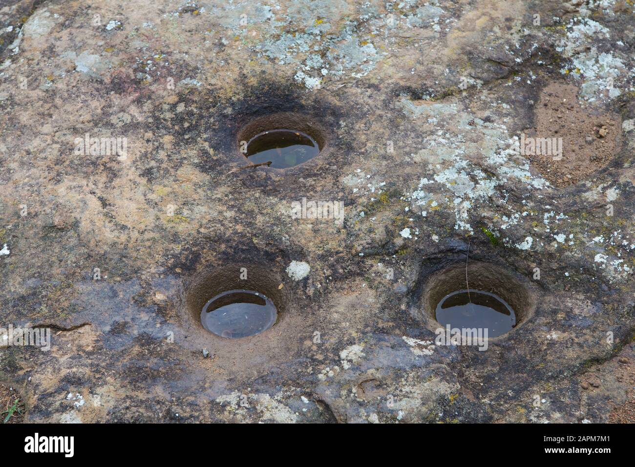 Acorn grinding mortar stones at the Wildlands Conservancy Mariposa ...