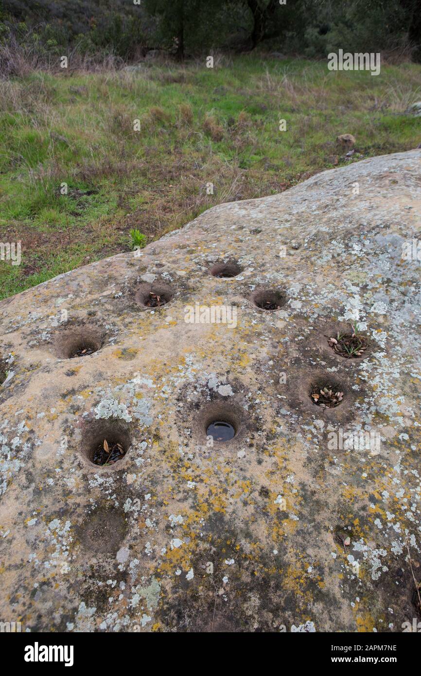 Acorn grinding mortar stones at the Wildlands Conservancy Mariposa ...