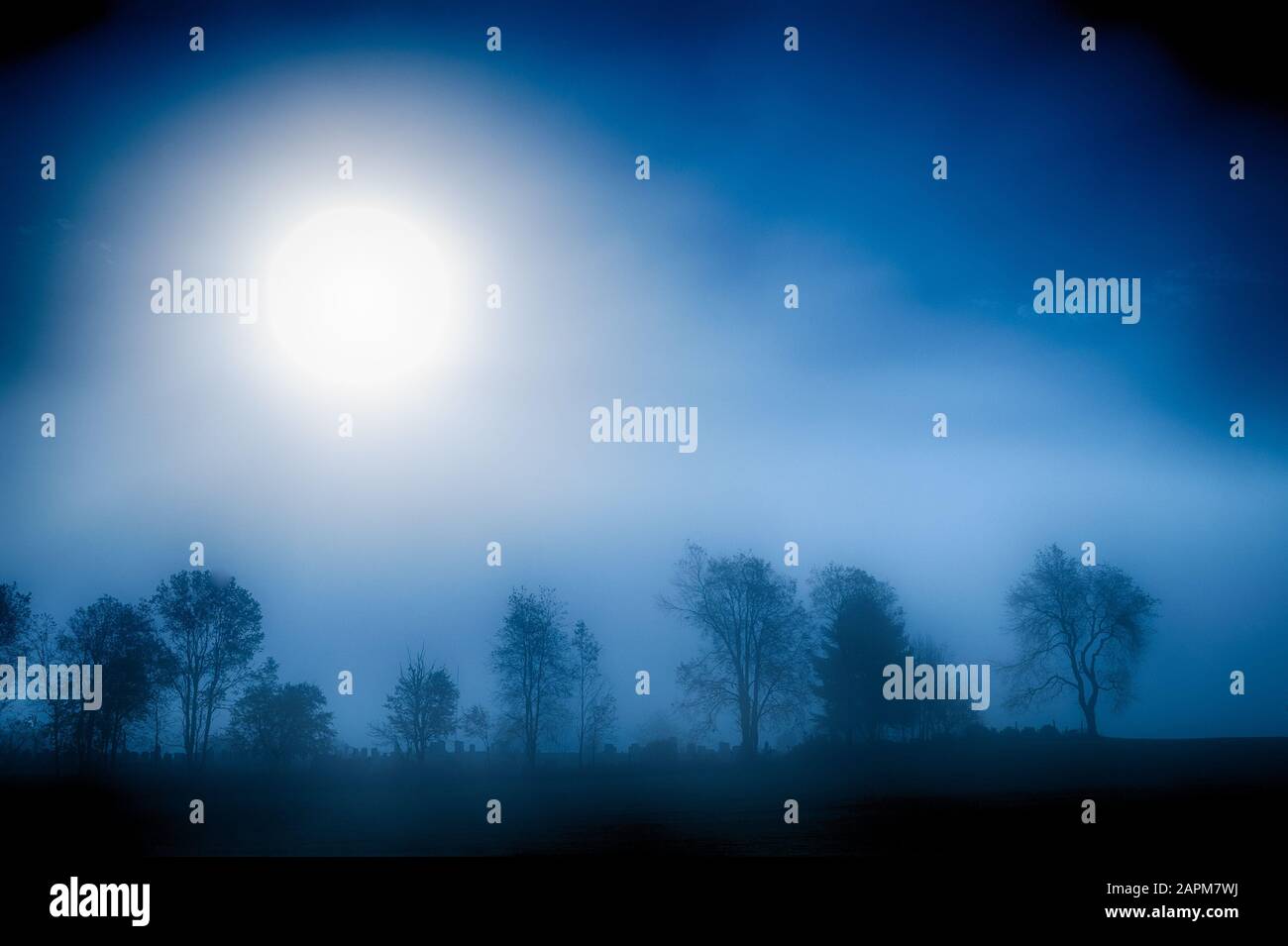 Treeline fog fall hi-res stock photography and images - Alamy