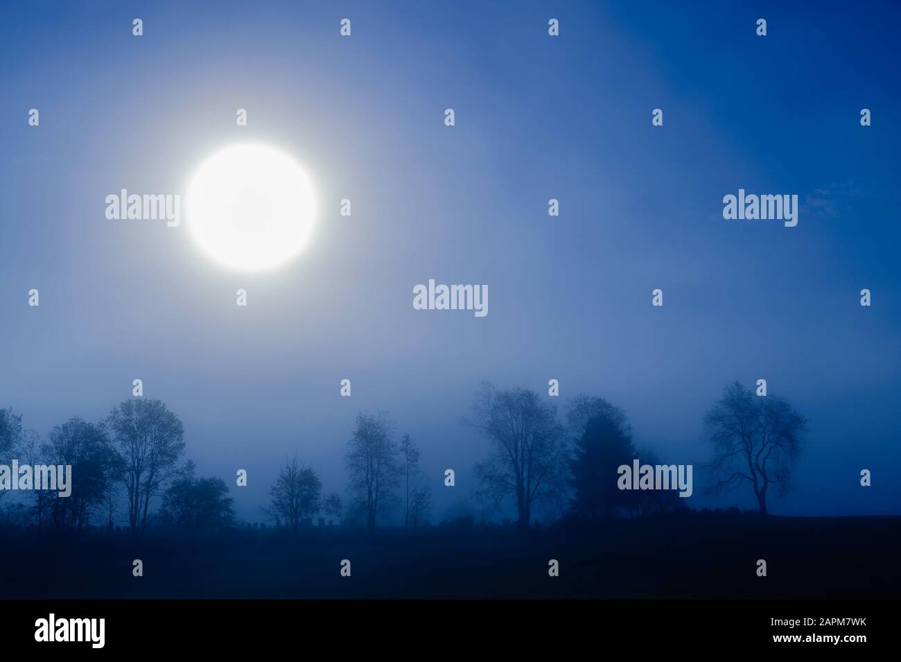 Treeline fog fall hi-res stock photography and images - Alamy