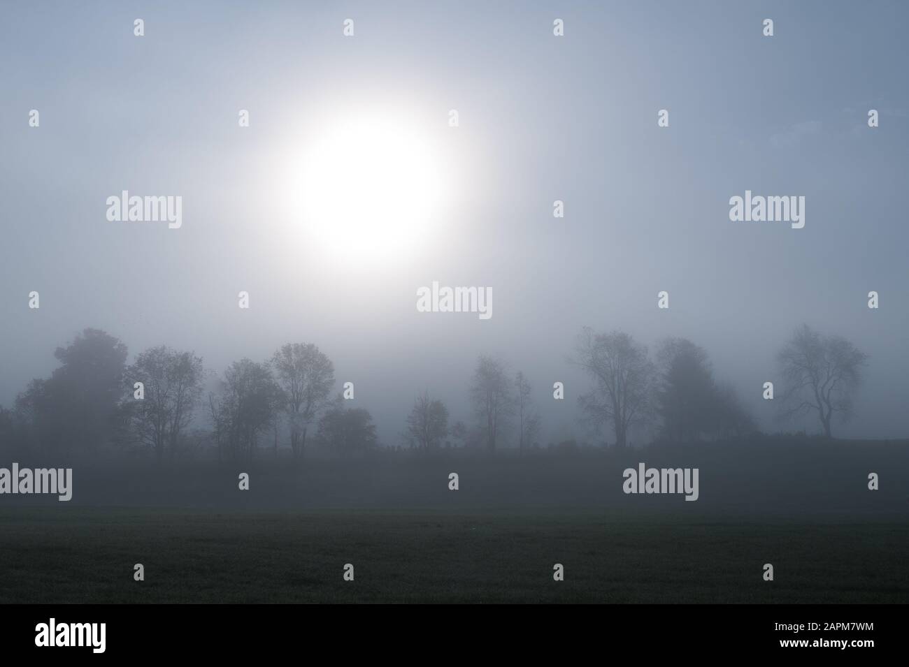 Treeline fog fall hi-res stock photography and images - Alamy