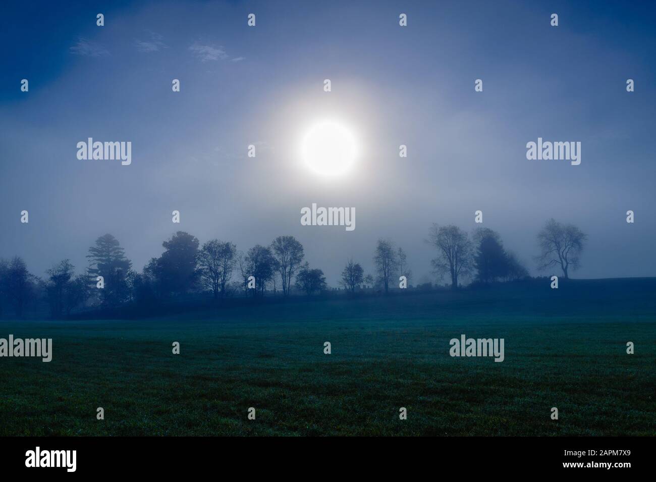 Treeline fog fall hi-res stock photography and images - Alamy