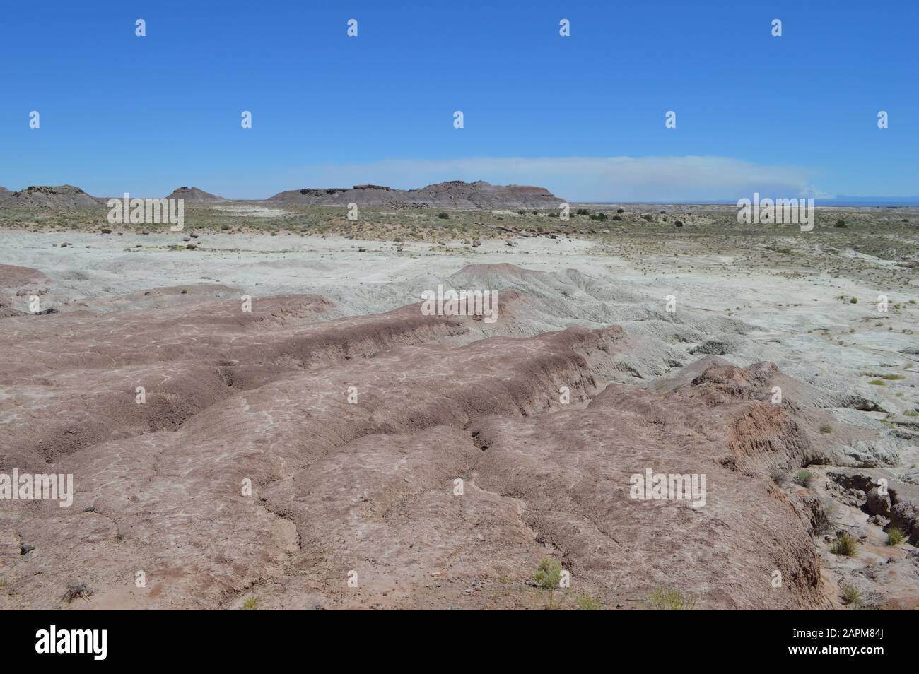 Petrified National Forest Field Desert Stock Photo - Alamy