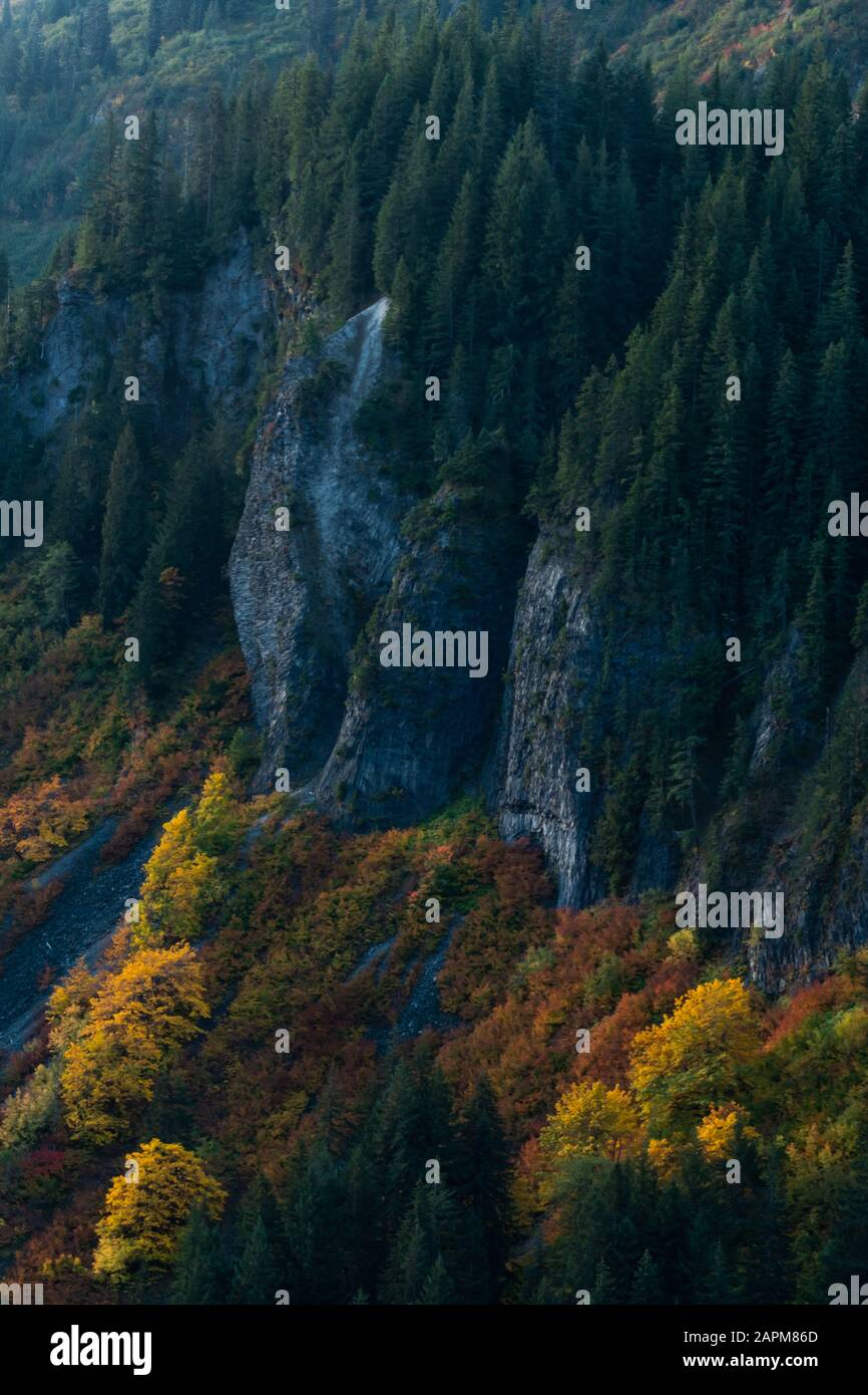 Fall Color and Cliffs in Mt. Rainier Stock Photo - Alamy
