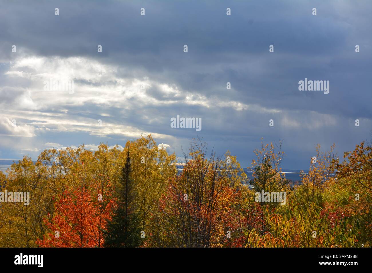 Autumn park with colourful leaves at North Bay, Ontario Stock Photo - Alamy