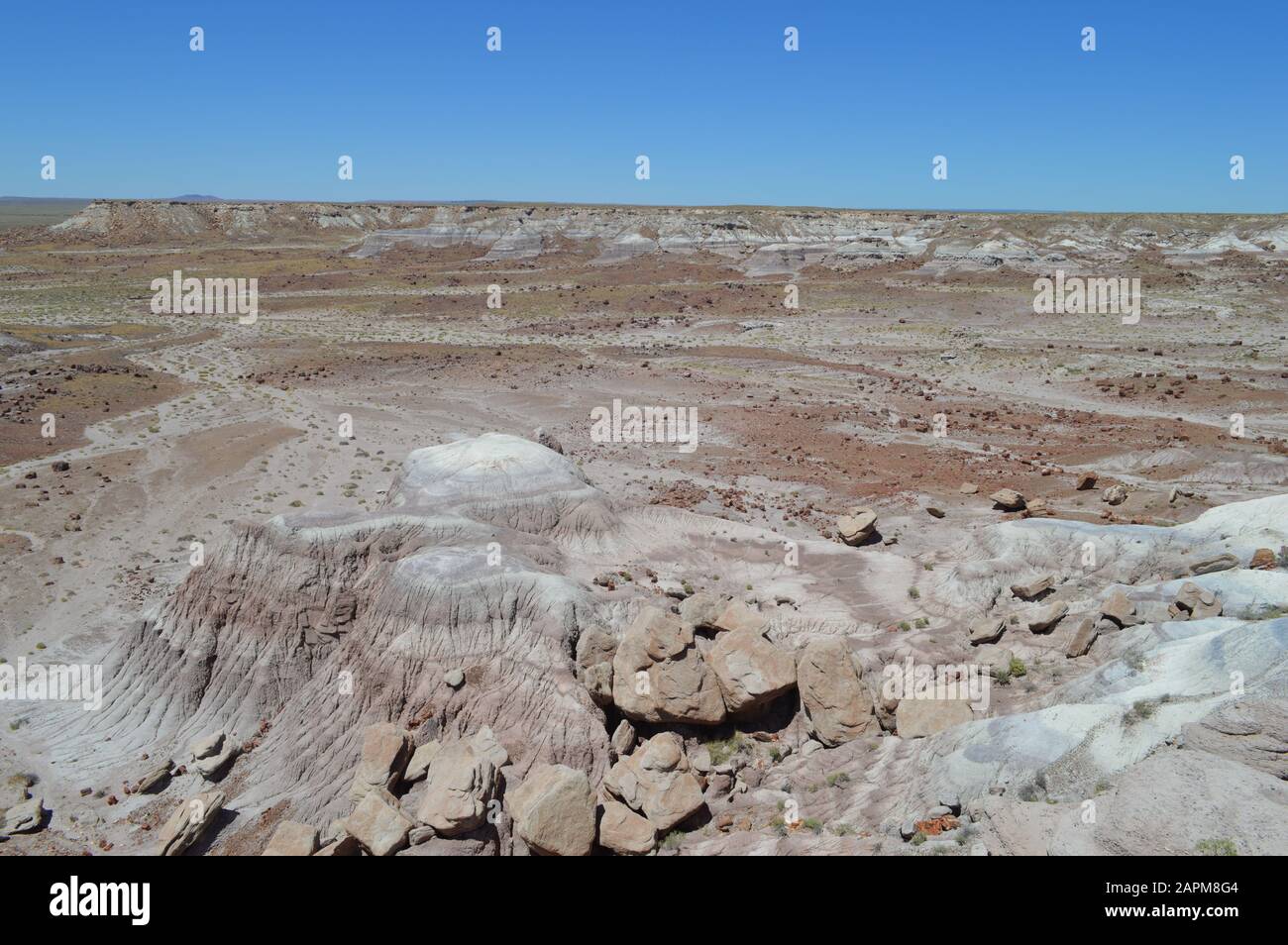 Petrified National Forest Field Desert Stock Photo - Alamy