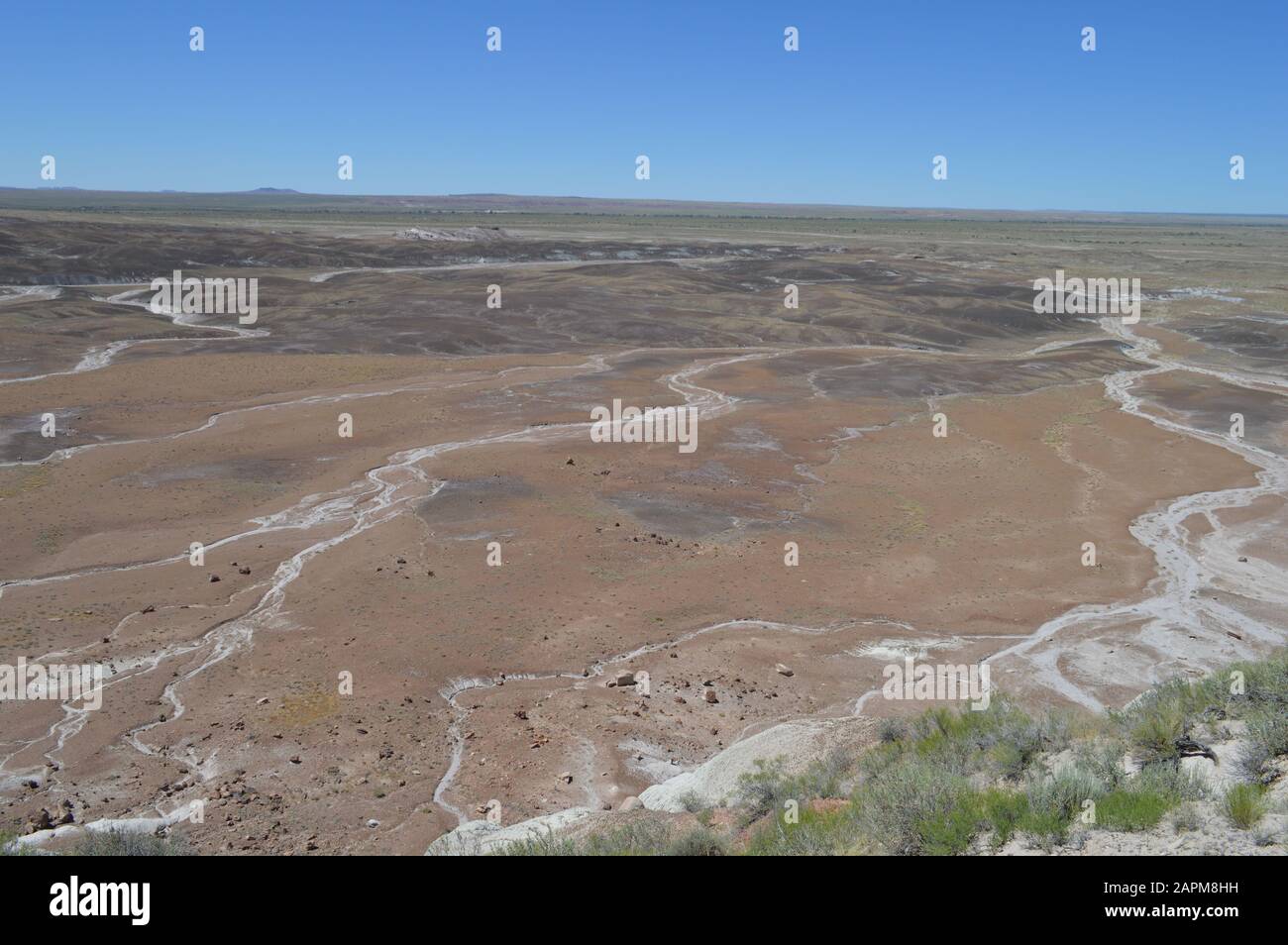 Petrified National Forest Field Desert Stock Photo - Alamy