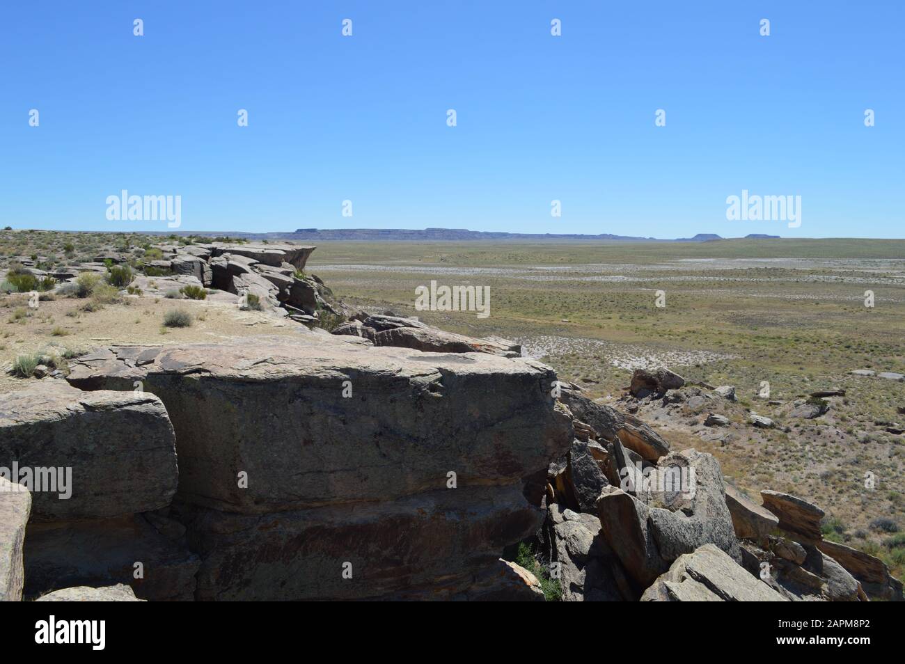 Petrified National Forest Boulders and Field Arizona Stock Photo - Alamy