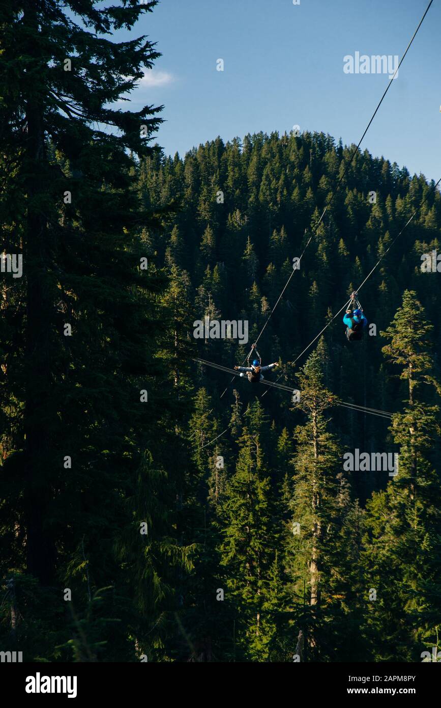ZIPLINE thru the forest foliage in a Vancouver park, British Columbia ...