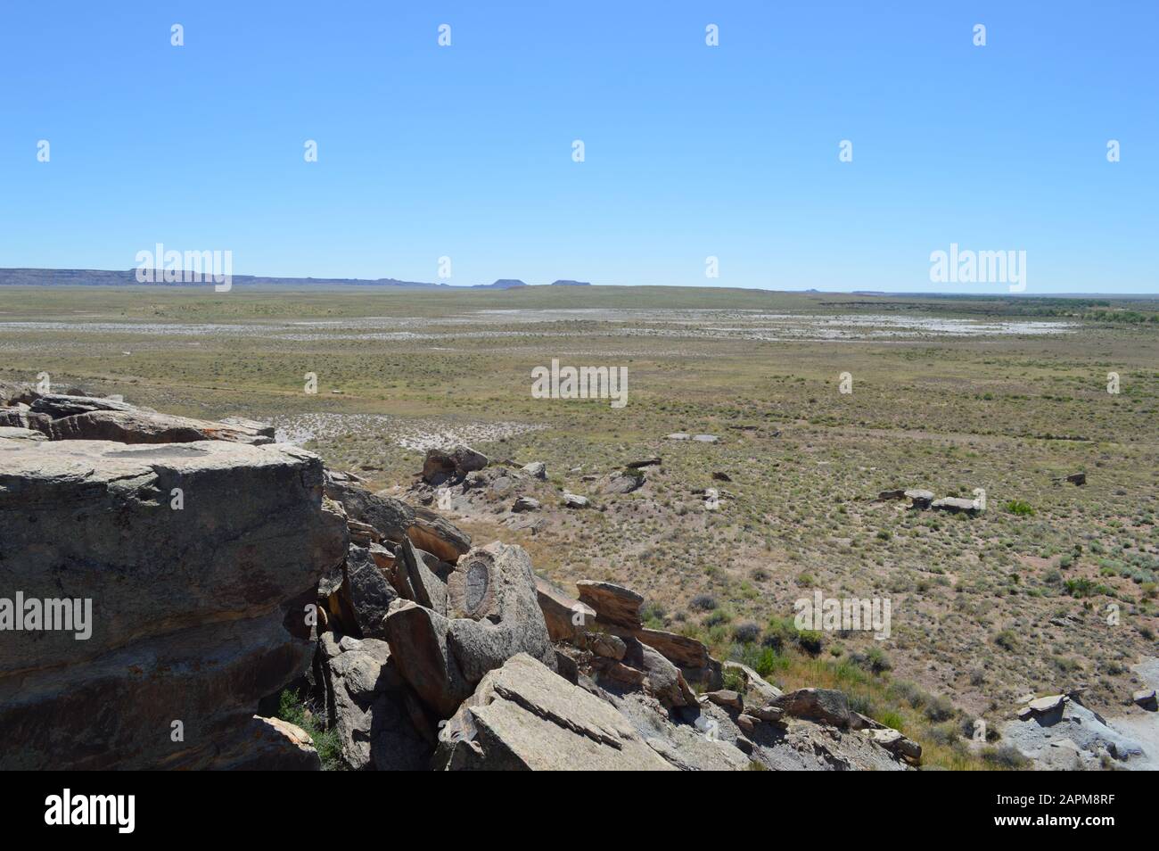 Petrified National Forest Field Desert Stock Photo - Alamy