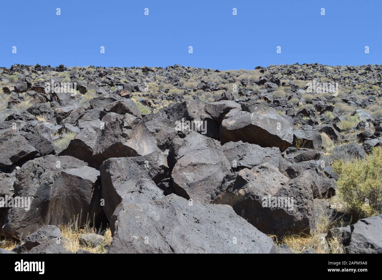Petrified National Forest Field Desert Stock Photo - Alamy